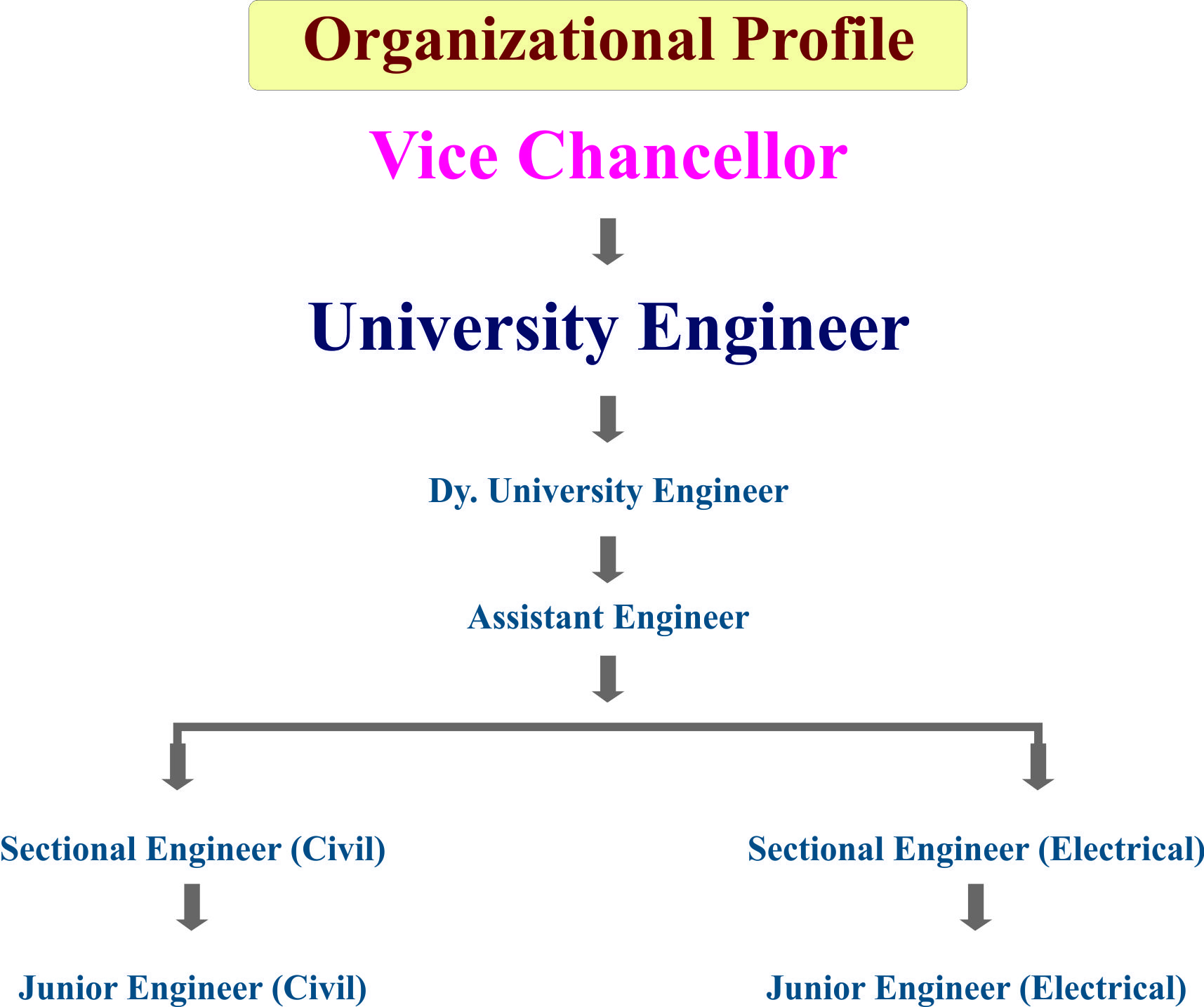 Work Profile - Mahatma Phule Krishi Vidyapeeth (MPKV), Rahuri